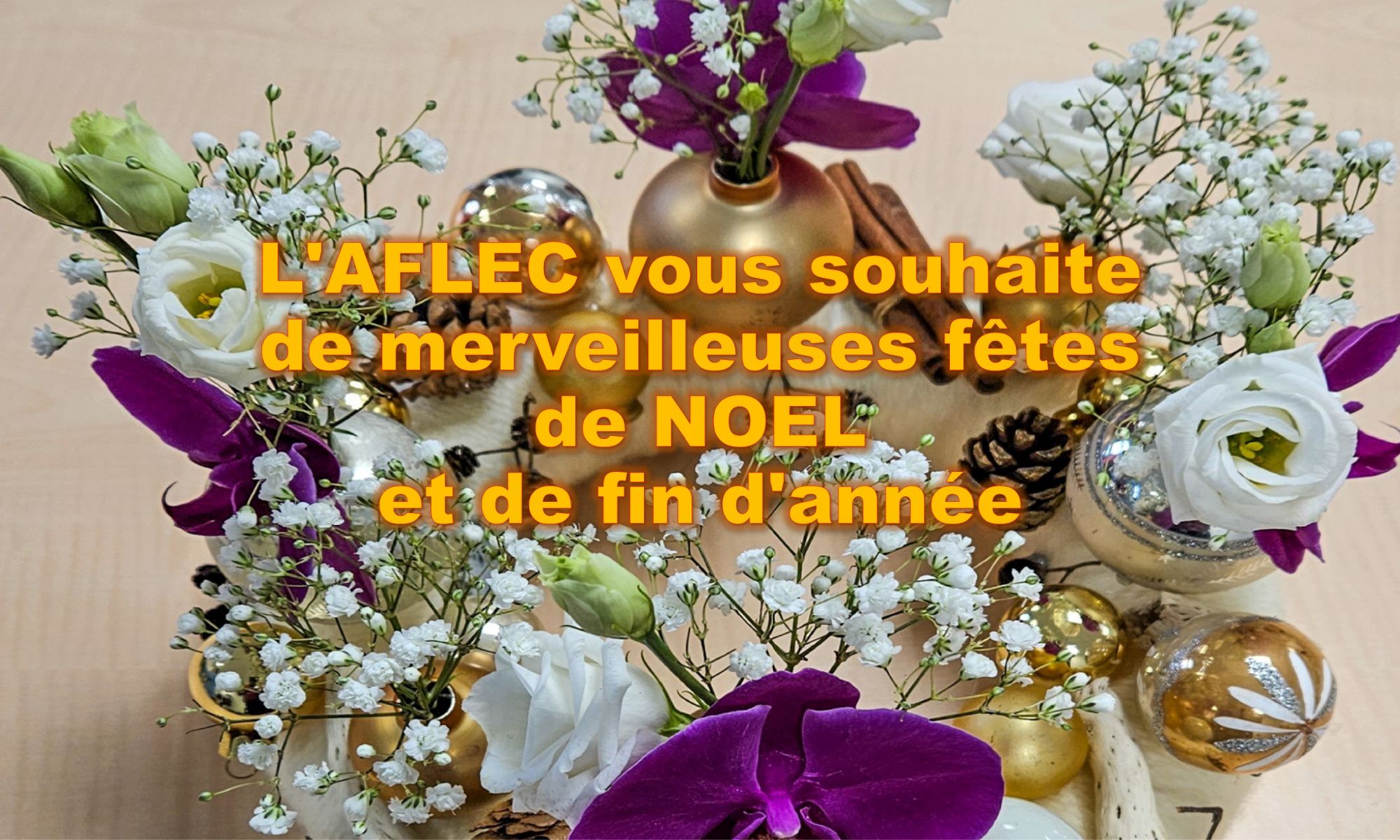 Questionnaire santé majeur - AFLEC